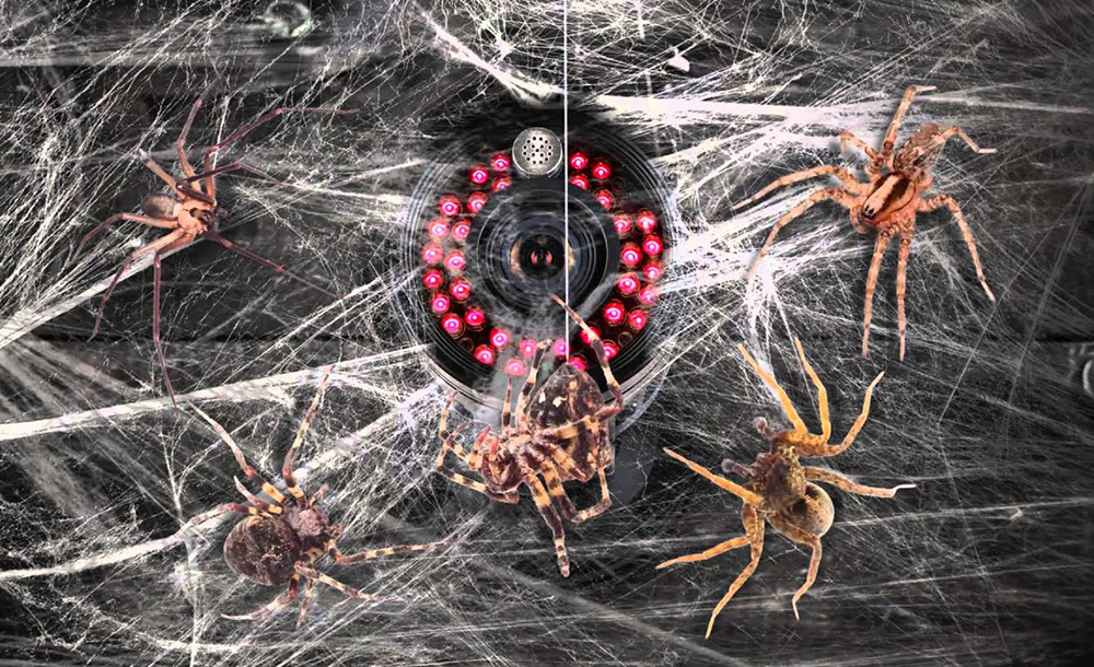 How to keep spiders, bugs, and insects off your security camera? - Casa ...